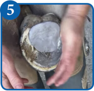 Half Mesh Hoof Pad - DECRON HORSE CARE