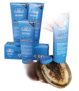Home - DECRON HORSE CARE